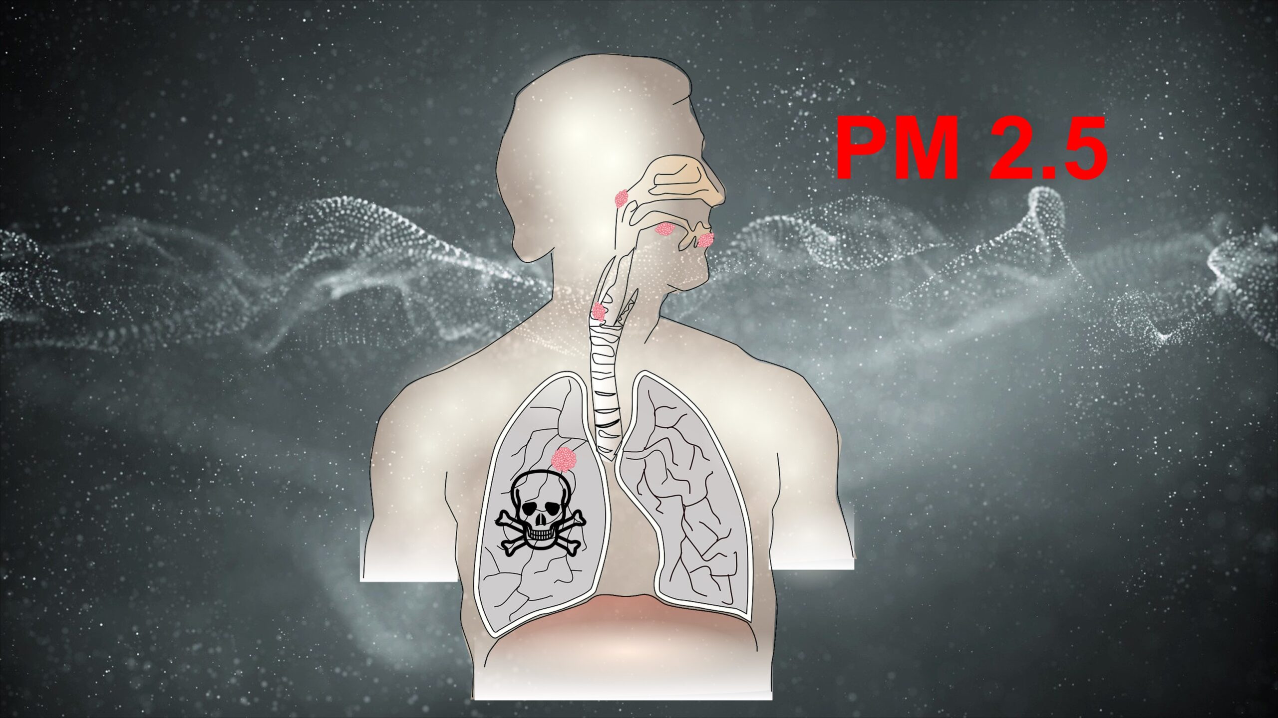 Ambient PM2.5 Promotes Lung Cancer - Science Dialectica